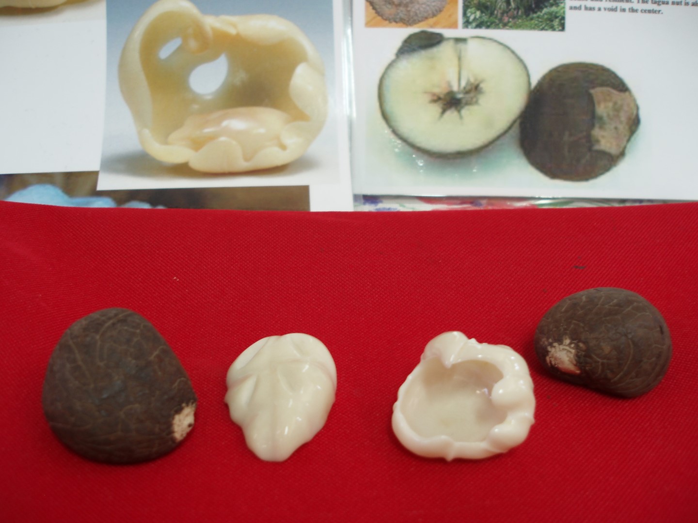 Special Workshops | Toowoomba Lapidary Club Inc